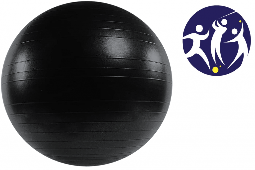 Black Exercise Ball 65cm – Michael Walsh Physio