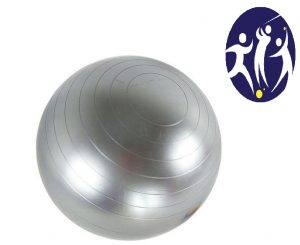 Grey Exercise Ball 75cm – Michael Walsh Physio